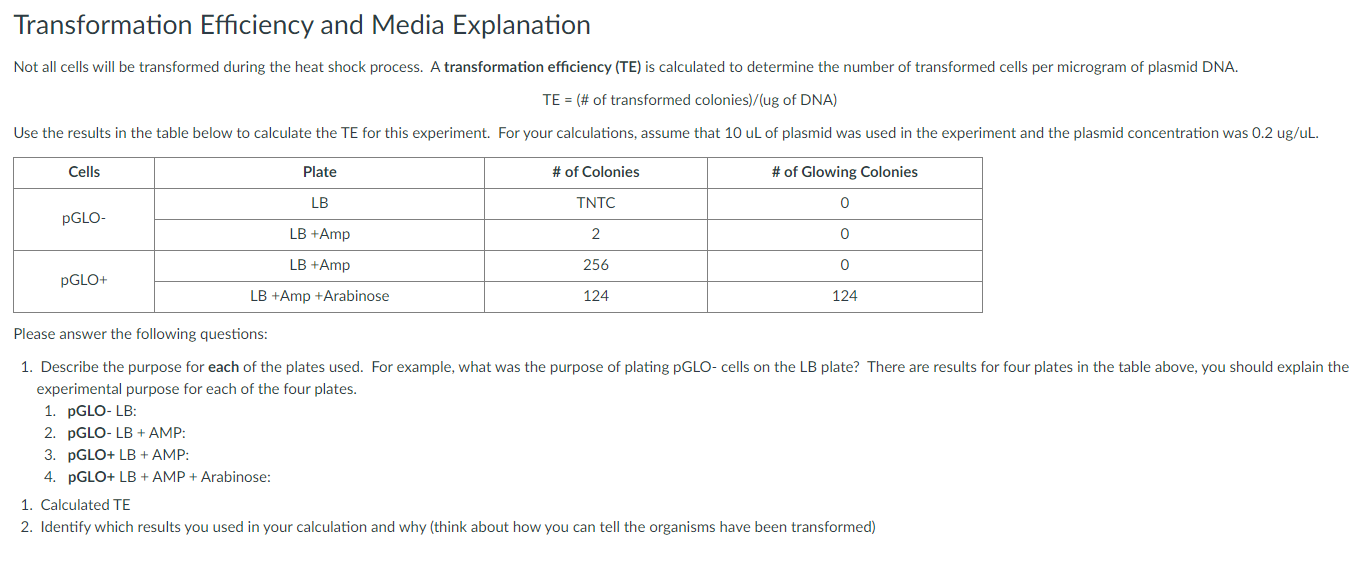 Solved Transformation Efficiency and Media Explanation Not | Chegg.com