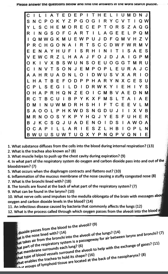 Solved Please complete the following word search by | Chegg.com