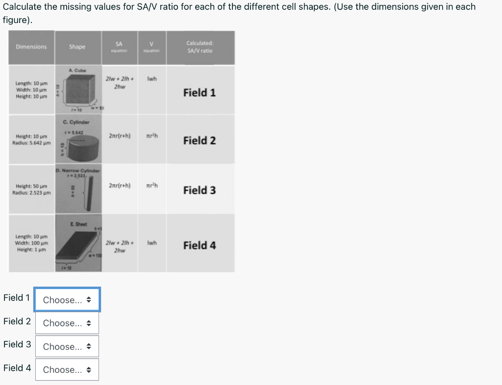 Solved Calculate the missing values for SA/V ratio for each | Chegg.com
