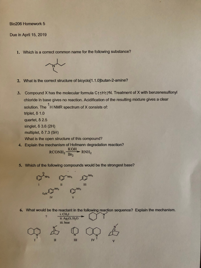 Solved Bio206 Homework 5 Due in April 15, 2019 1. Which is a | Chegg.com