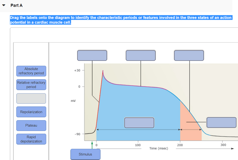 Drag The Labels Onto The Diagram To Identify Structur - vrogue.co Drag The Labels Onto The Diagram To Identify Structur - vrogue.co