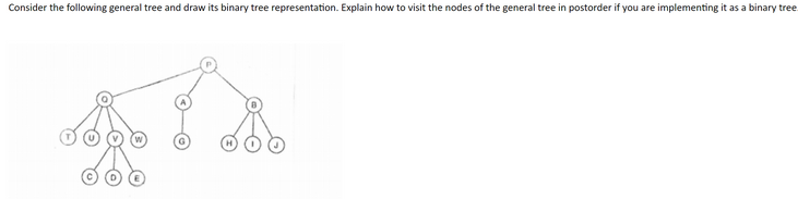 Solved Consider the following general tree and draw its | Chegg.com