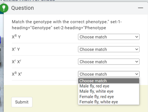 Solved Question Match the genotype with the correct | Chegg.com