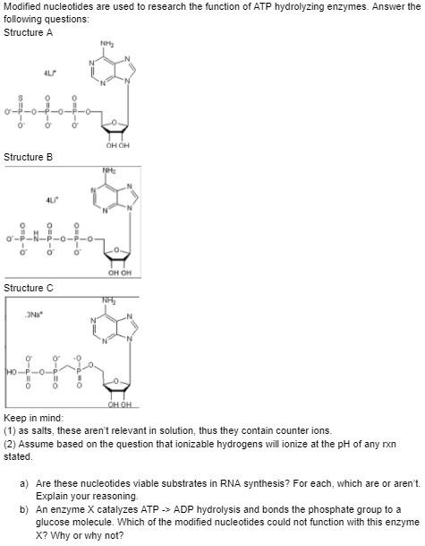 Solved Modified nucleotides are used to research the | Chegg.com