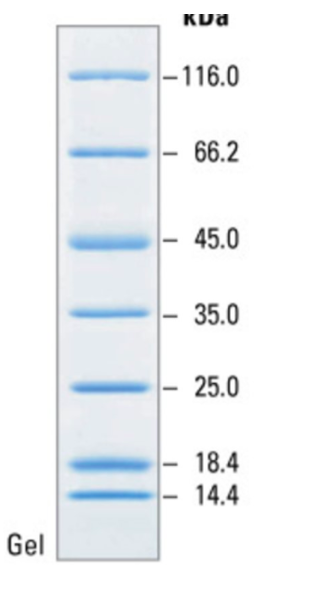 Solved Please help me construct a Ferguson Plot for the | Chegg.com