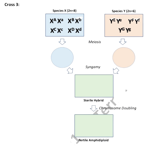 Species X 3 XA ха Хв 2 To ХС Хc XD xd contains gene | Chegg.com