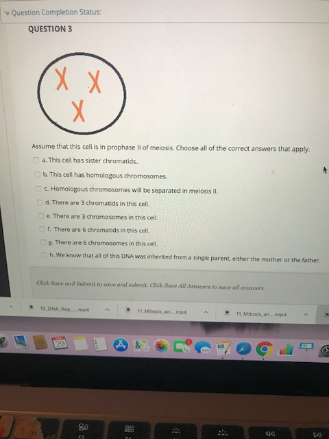 Solved Question Completion Status: QUESTION 3 Assume that | Chegg.com