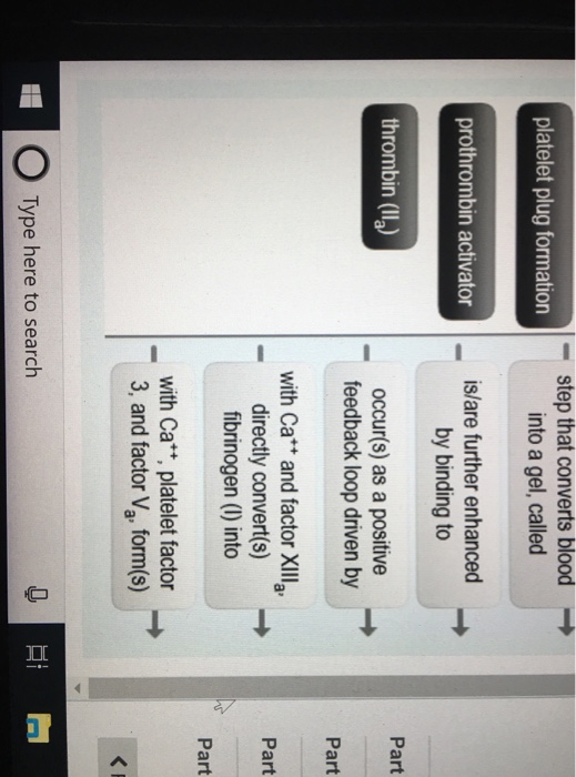 Solved Lecture: Ch. 16 Homework Concept Map: Steps of | Chegg.com