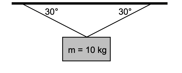 Solved A block with a mass of 10.0 kg is hanging from two | Chegg.com