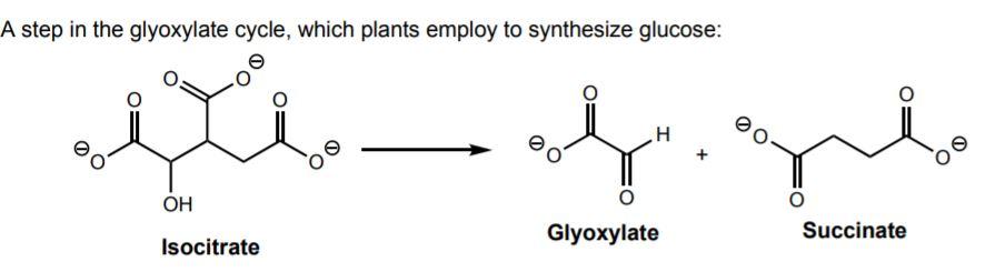 Solved A step in the glyoxylate cycle, which plants employ | Chegg.com