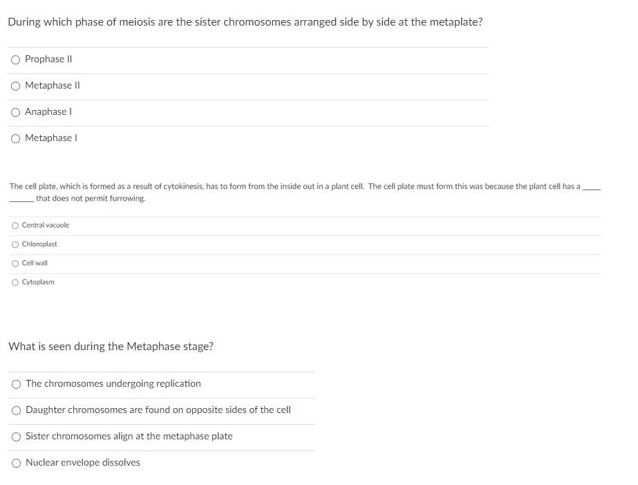 Solved During which phase of meiosis are the sister | Chegg.com