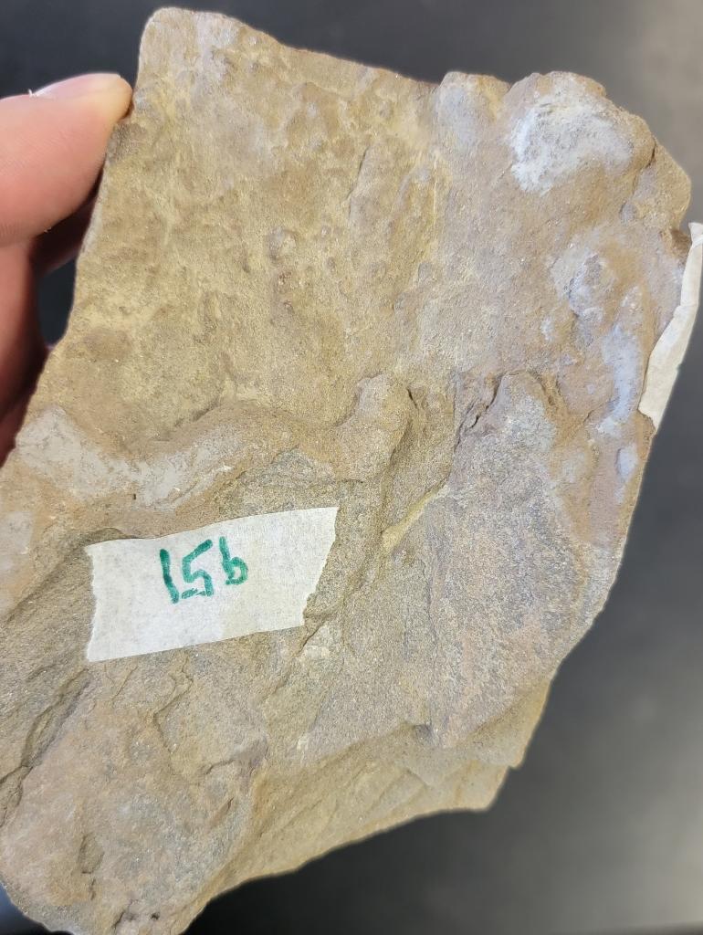 Solved Identify the sedimentary structure Describe how the | Chegg.com