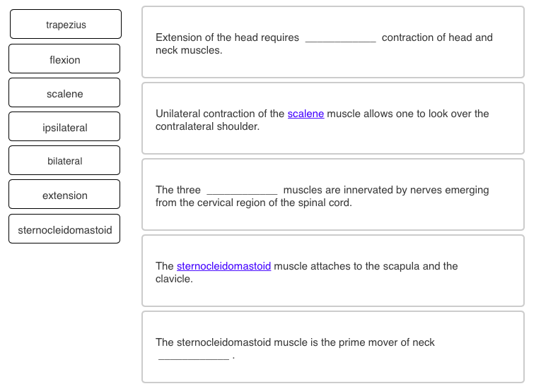 Solved trapezius Extension of the head requires neck | Chegg.com