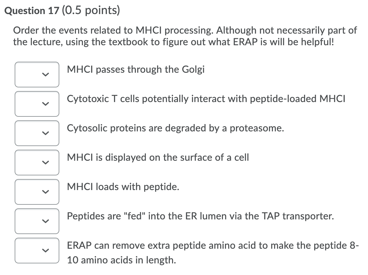 Solved Question 17 (0.5 points) Order the events related to | Chegg.com
