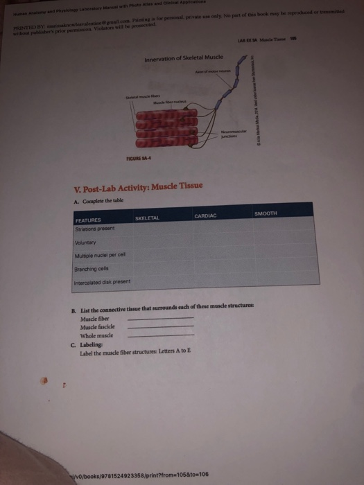 Solved R. Complete this table describing bone classification | Chegg.com
