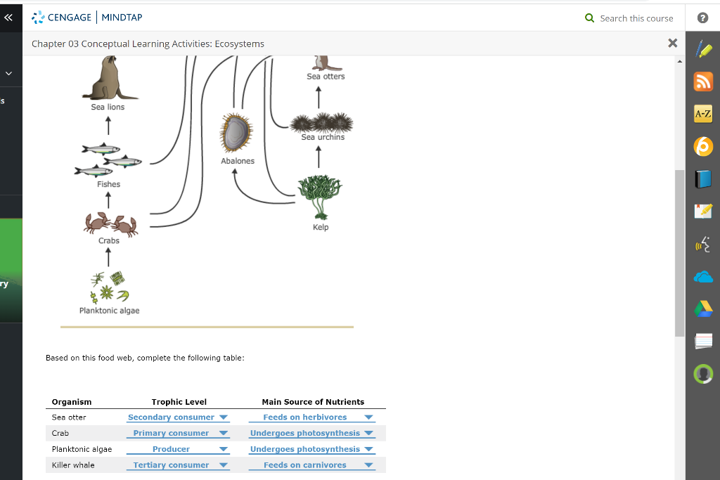 Solved Chapter 03 Conceptual Learning Activities: Ecosystems | Chegg.com