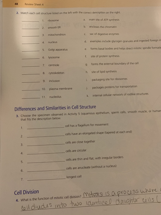 Solved 48 Review Sheet 4 2. Match each cell structure listed | Chegg.com