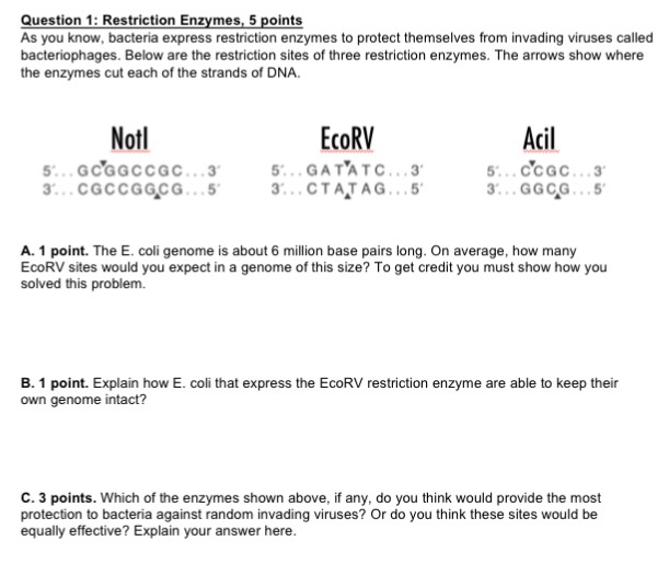 Solved Question 1: Restriction Enzymes, 5 points As you | Chegg.com