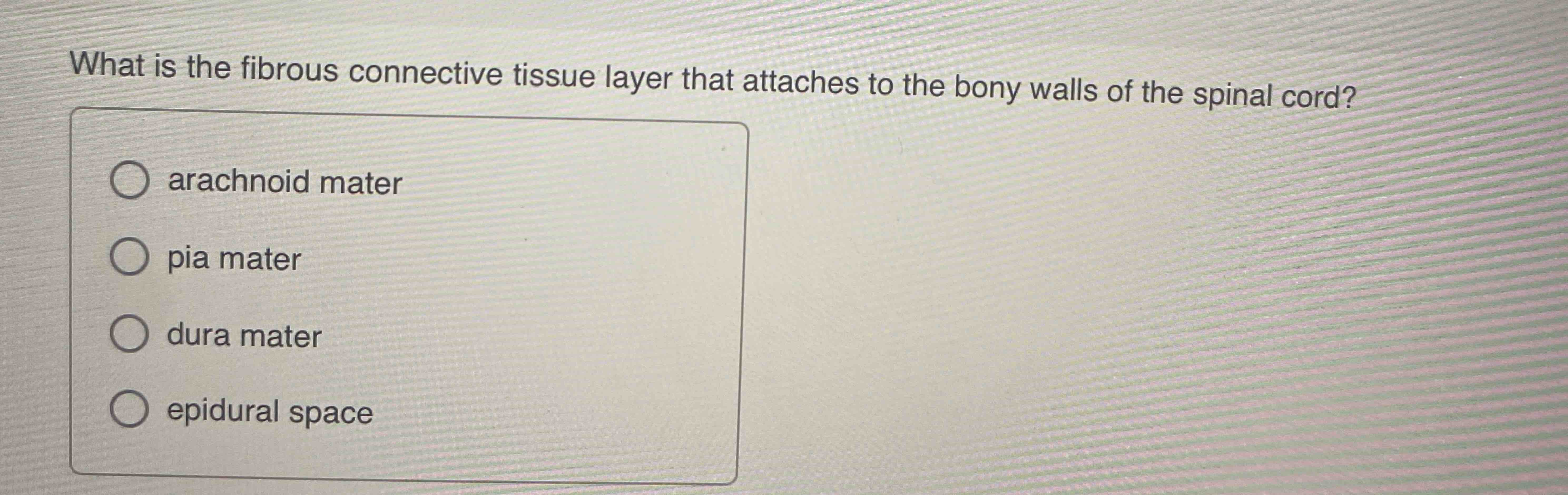 Solved What is the fibrous connective tissue layer that | Chegg.com