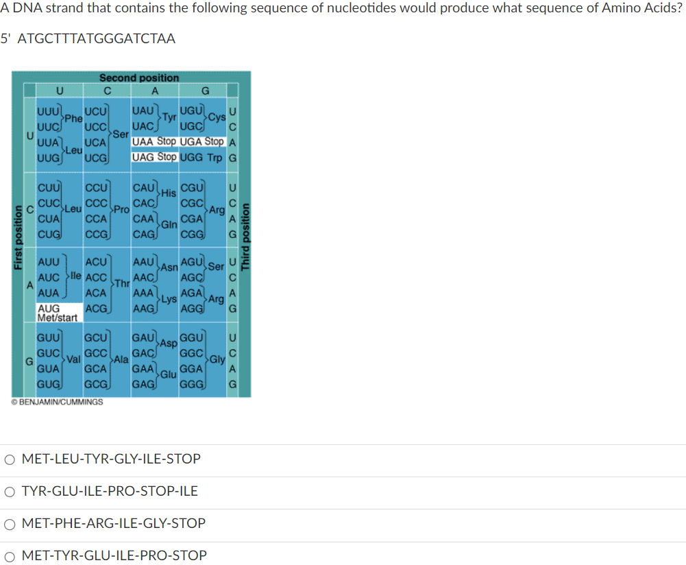 Solved A DNA strand that contains the following sequence of | Chegg.com