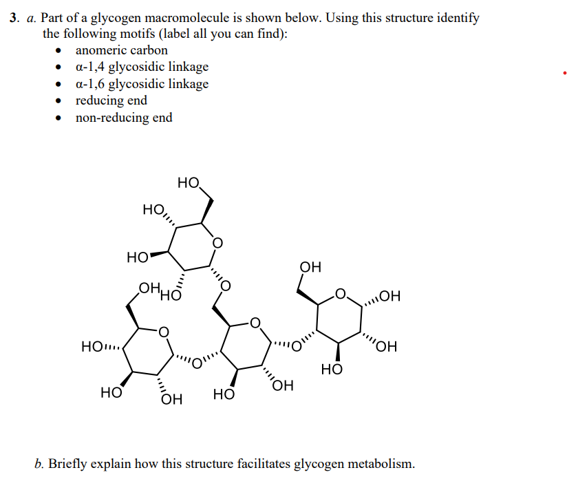 Solved 3. a. Part of a glycogen macromolecule is shown | Chegg.com