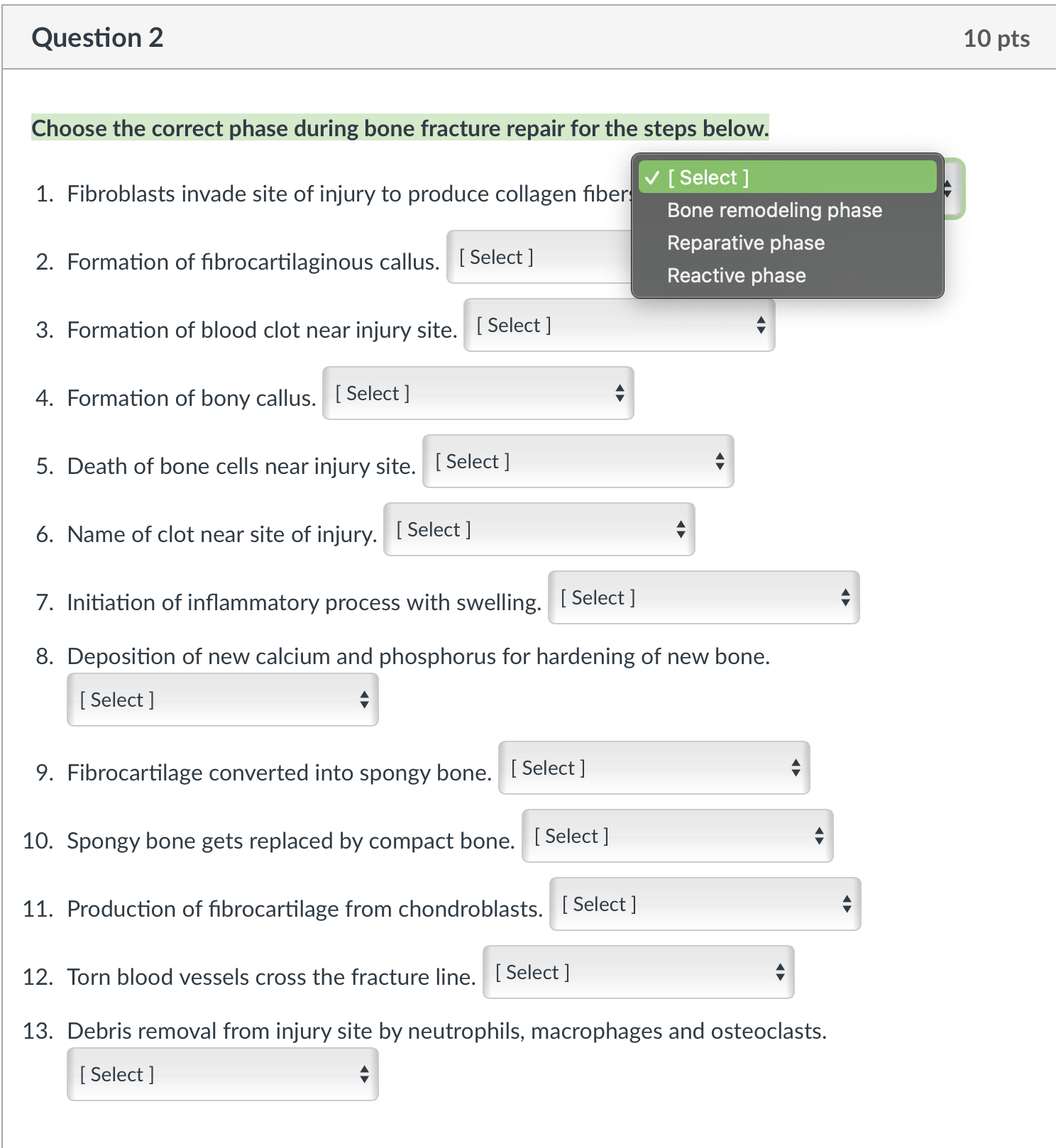 Choose the correct phase during bone fracture repair | Chegg.com