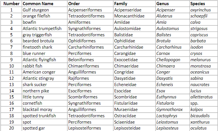 Solved Among all the fishes observed, which is the most | Chegg.com