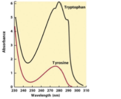 Solved The following are UV-spectra of two amino acids | Chegg.com