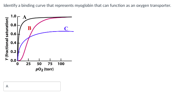 Solved Identify a binding curve that represents myoglobin | Chegg.com