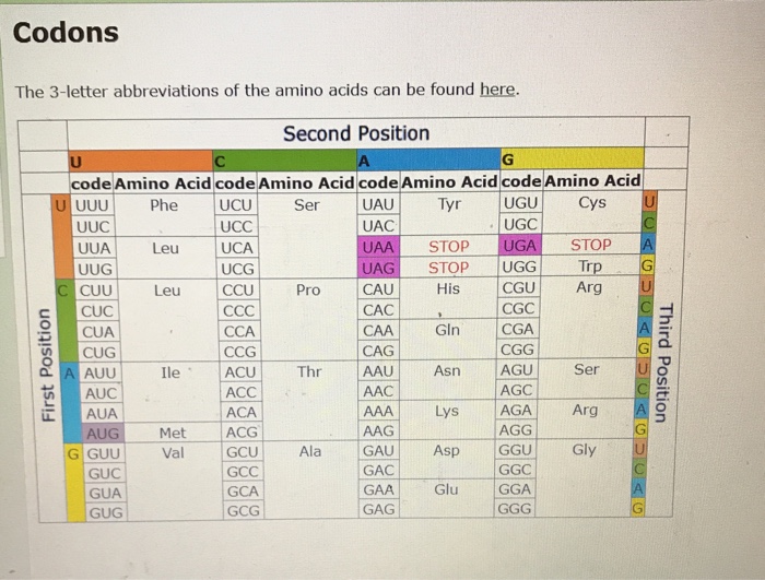 Solved How many different mRNA sequences Leu-Arg? Include | Chegg.com
