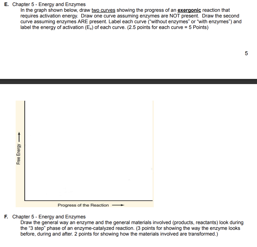 Solved E. Chapter 5 - Energy and Enzymes In the graph shown | Chegg.com