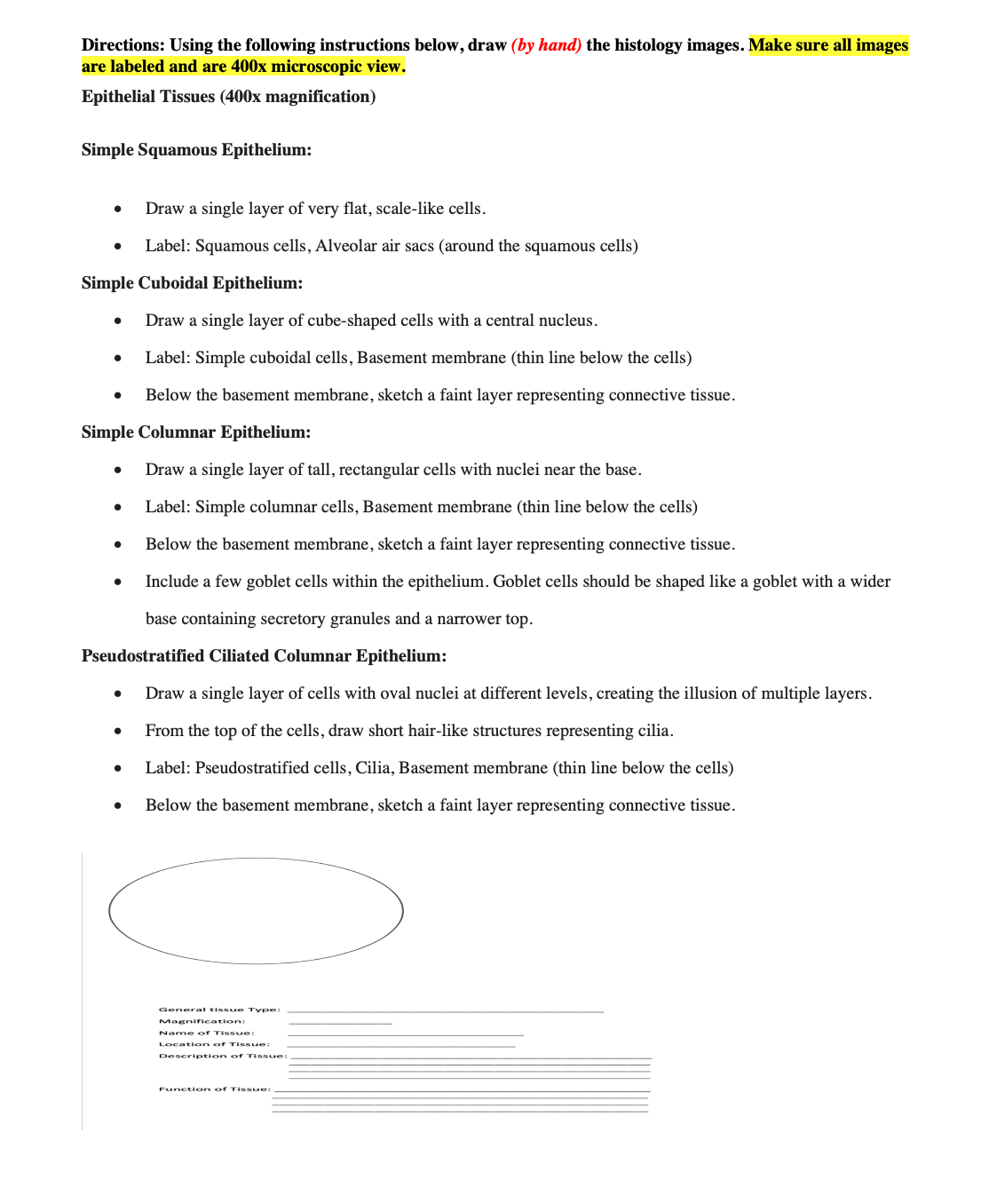 Solved Directions: Using the following instructions below, | Chegg.com