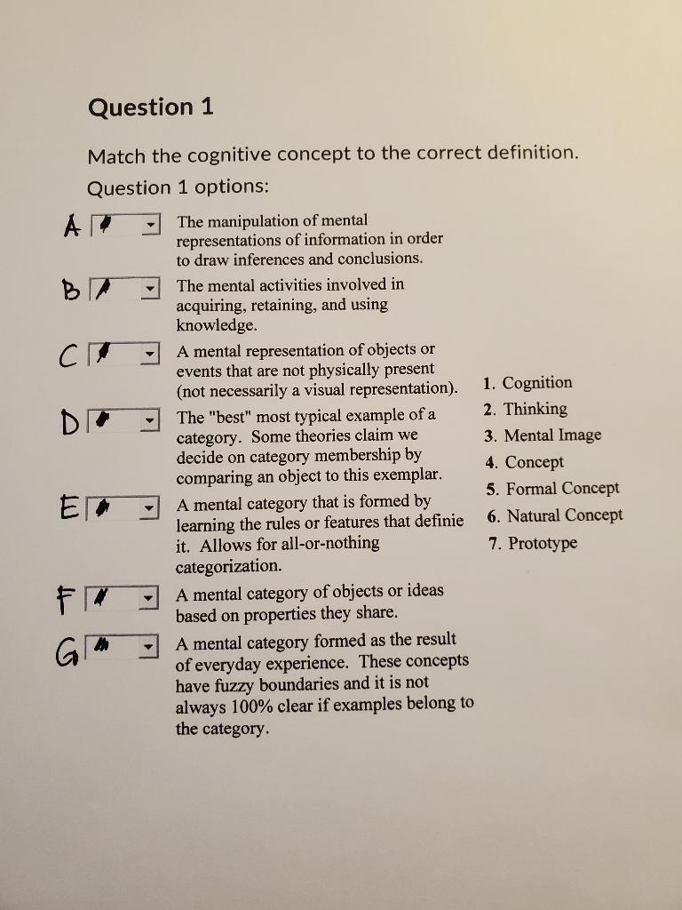 Solved Match the cognitive concept to the correct | Chegg.com