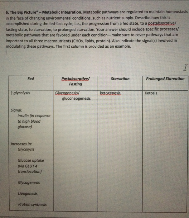 Solved 6. The Big Picture"- Metabolic Integration. Metabolic | Chegg.com