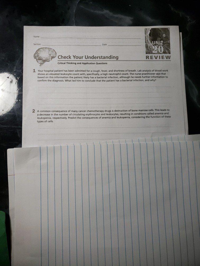 Solved Name Section Date UNIT HOY Check Your Understanding | Chegg.com