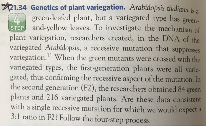 Solved オ21.34 Genetics of plant variegation. Arabidopsis | Chegg.com