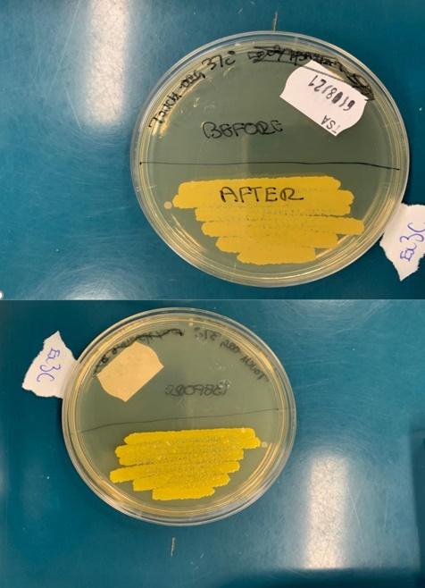 Solved 3.C. Transfer of microorganisms by touch. | Chegg.com
