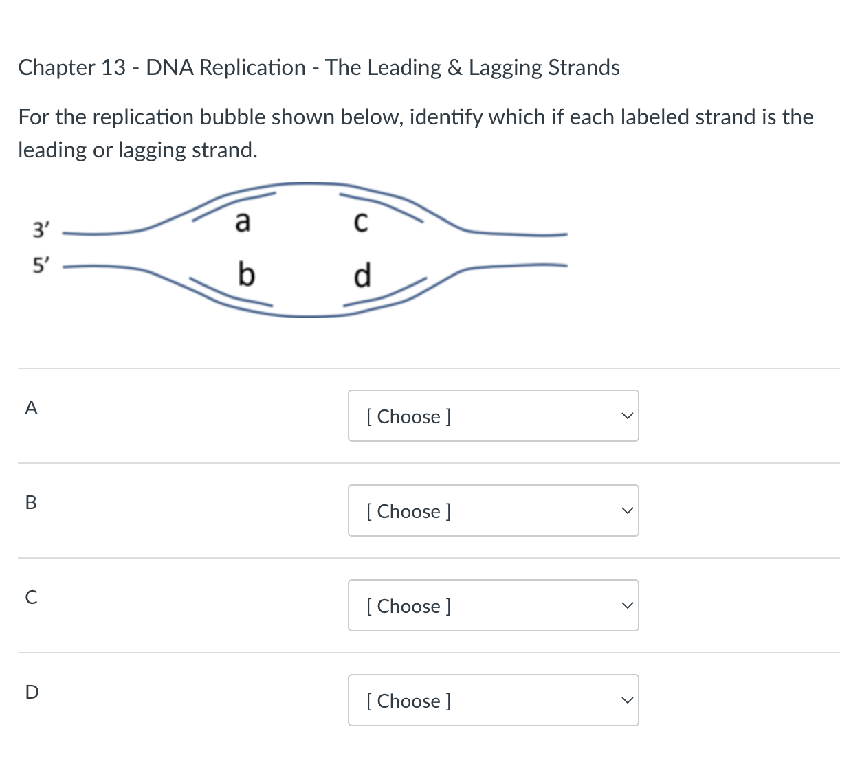 Solved Chapter 13 - ﻿DNA Replication - ﻿The Leading & | Chegg.com