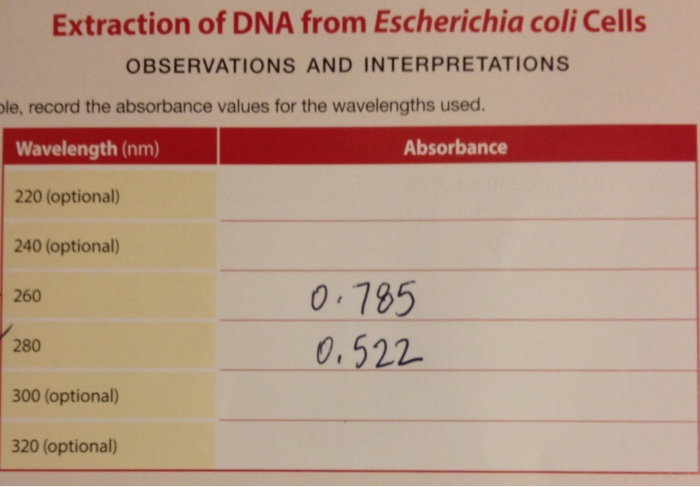 Solved Extraction of DNA from Escherichia coli Cells... | Chegg.com