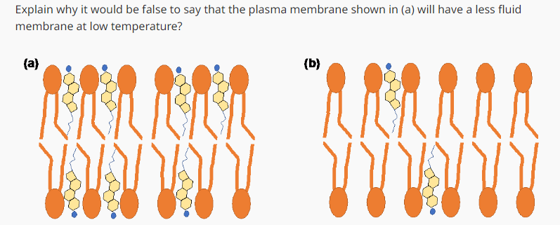 Solved Explain why it would be false to say that the plasma | Chegg.com