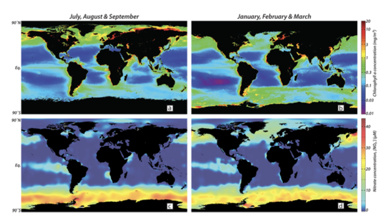 Solved How are these seasonal primary production maps | Chegg.com