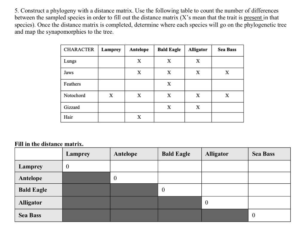Solved 5. Construct a phylogeny with a distance matrix. Use | Chegg.com