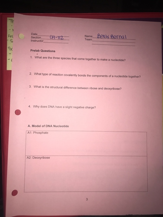 Solved Date Section Instructor Fri Name Team Prelab | Chegg.com