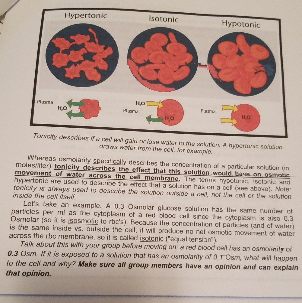 Solved Hypertonic Isotoni Hypotonic Plasma Ho Plasma H,o | Chegg.com