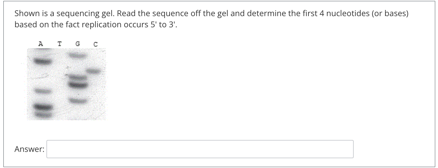 Solved Shown is a sequencing gel. Read the sequence off the | Chegg.com