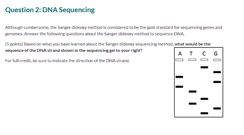 Solved Although cumbersome, the Sanger dideoxy method is | Chegg.com