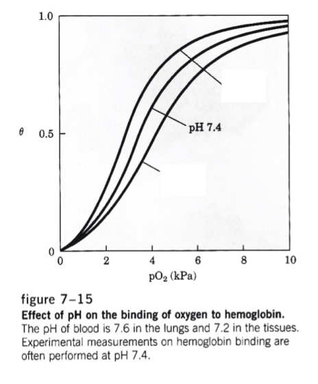 Solved In the following figure, the Hb (hemoglobin) binding | Chegg.com