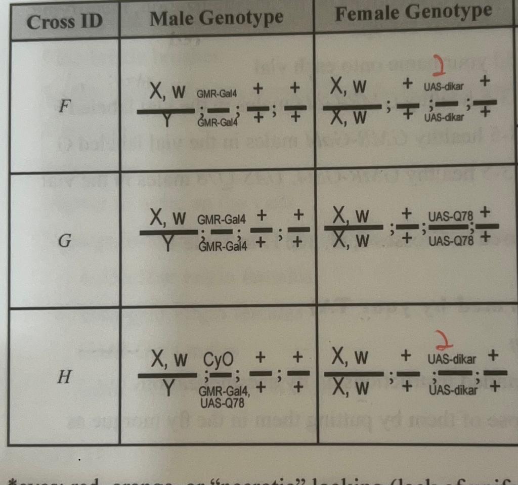 What are the expected genotype of F1 generation in | Chegg.com