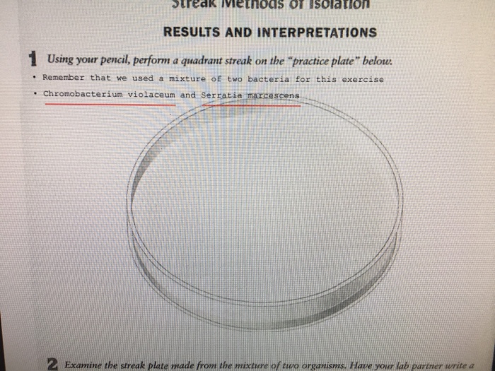 Solved Streak Methods of Isolation RESULTS AND | Chegg.com