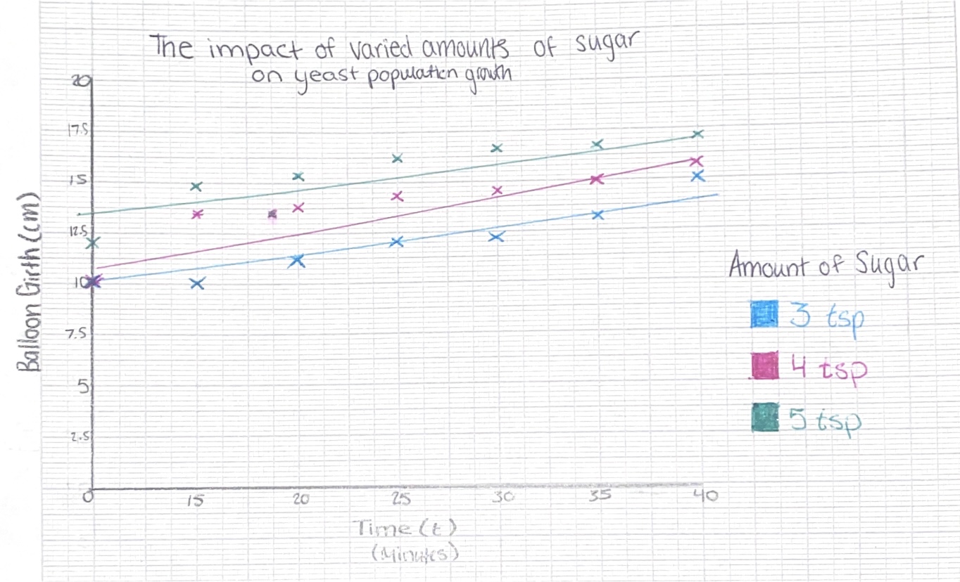 Solved The impact of varied amounts of sugaron yeast | Chegg.com
